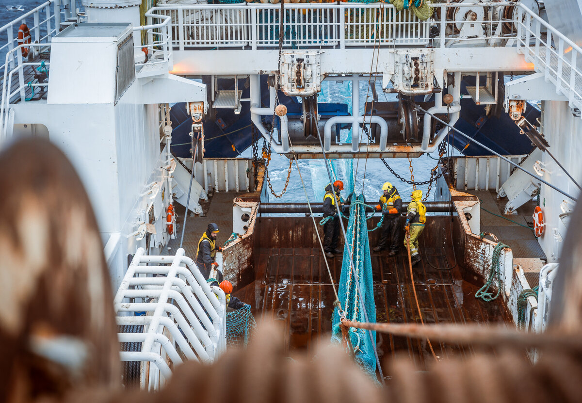 PAL winch alternative